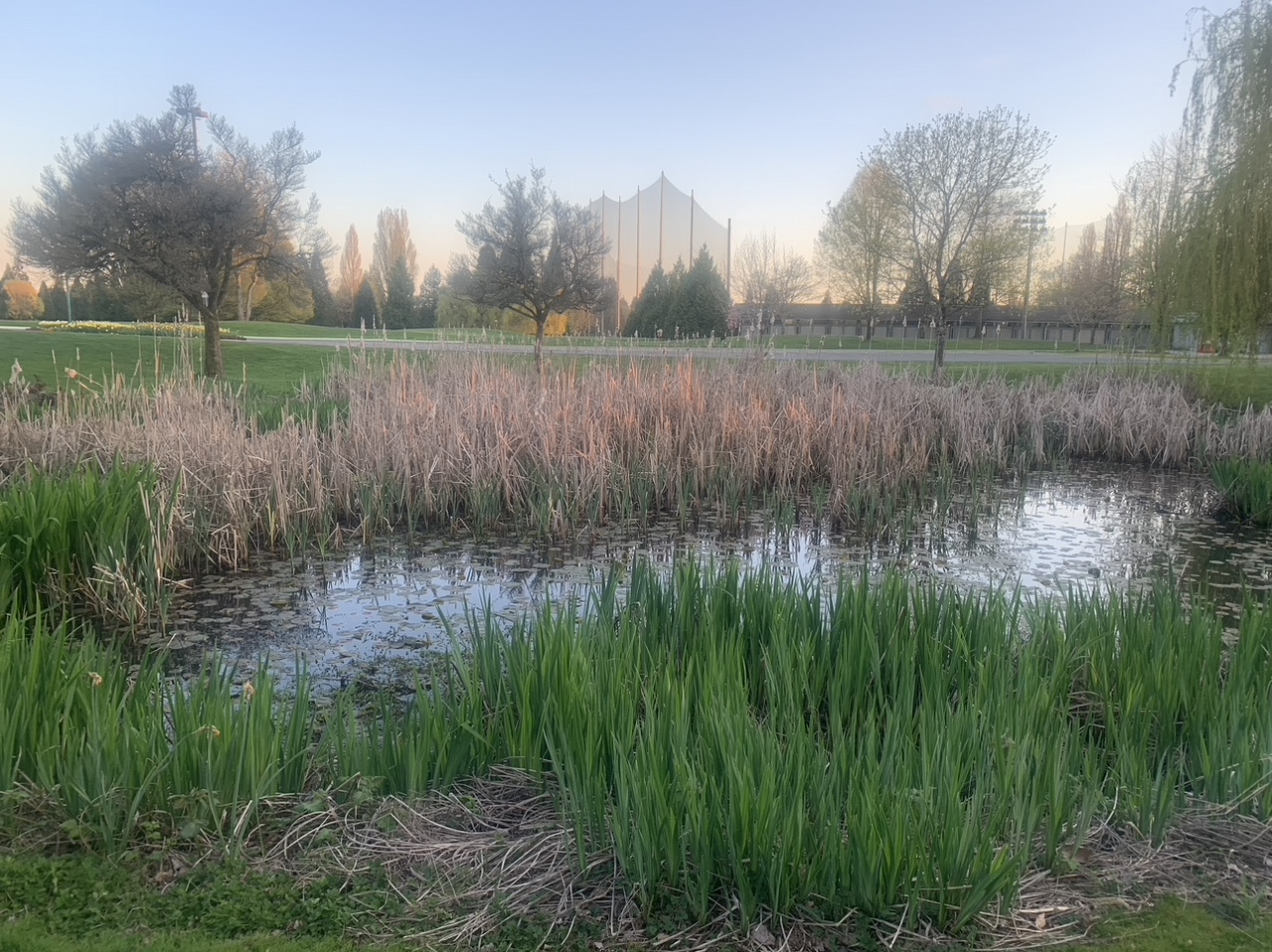 BioBlitz: ‘Pandemic’ Insects | Beaty Biodiversity Museum