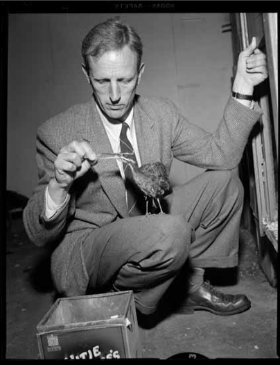 Cowan Tetrapod Collection Contributors | Beaty Biodiversity Museum